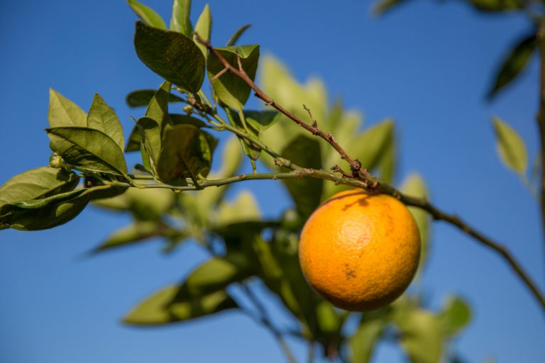 Patty Wolfe Media Group » Preview Photos